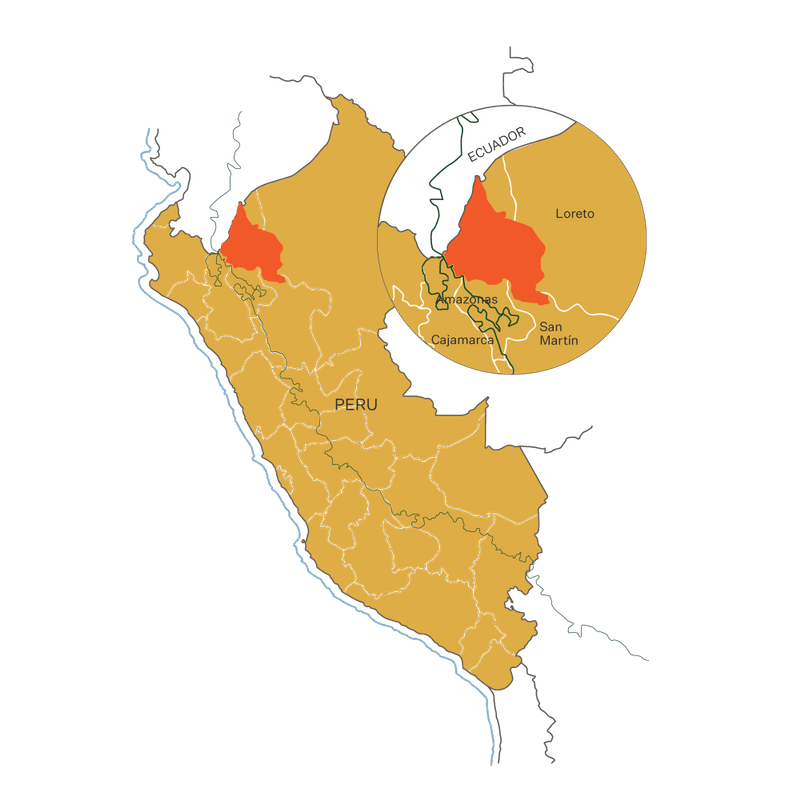 Amazonas Conservation Initiative Peru